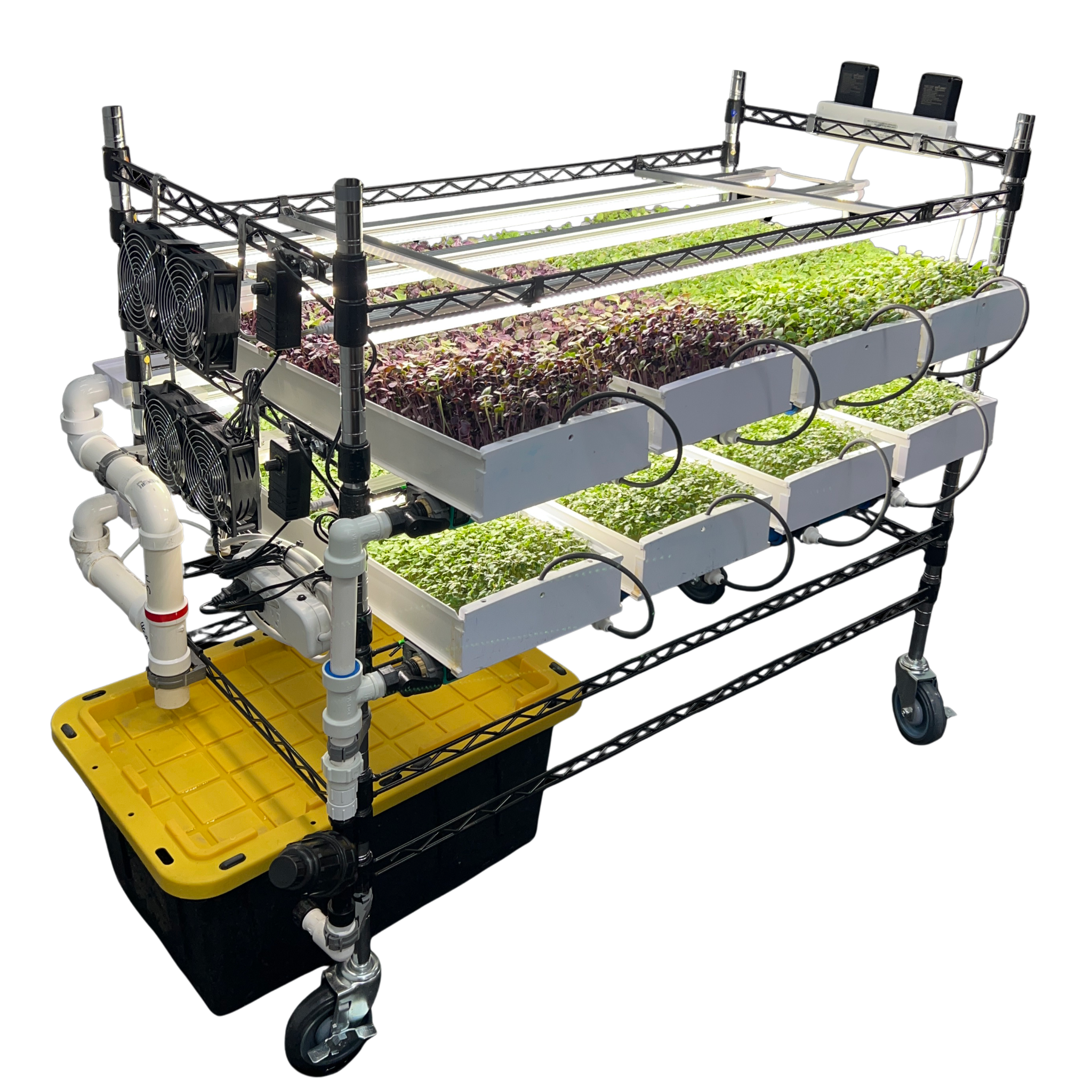 Growing Systems – Urban Greens